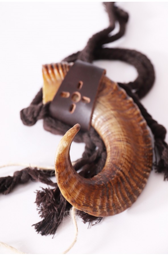 Celtic and Viking sheep horn